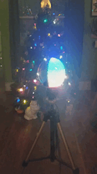 LED Spinny Balls | grahammy